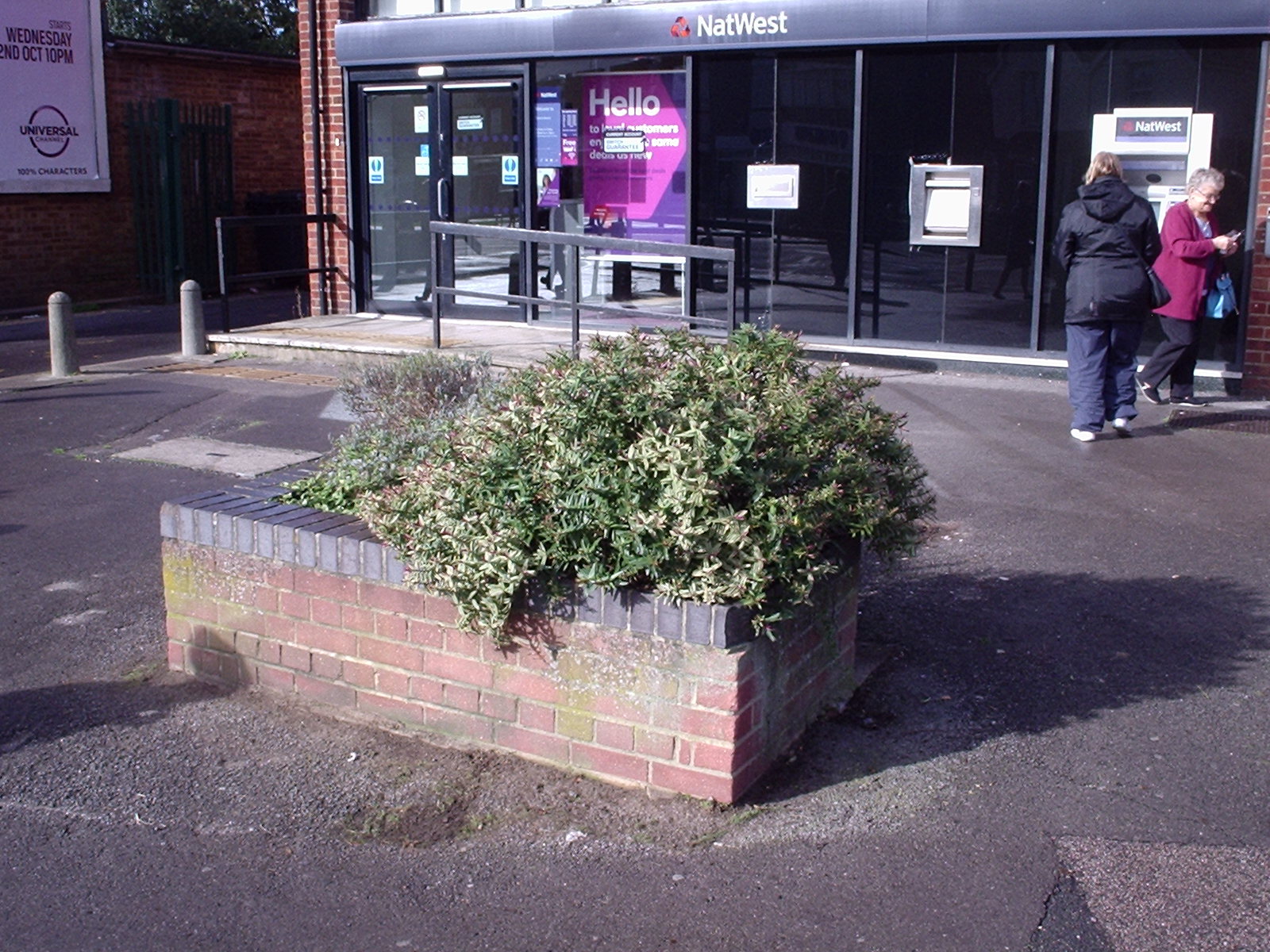 Events, Tilehurst Globe, Tilehurst, Triangle, Planting, Water Trough ...