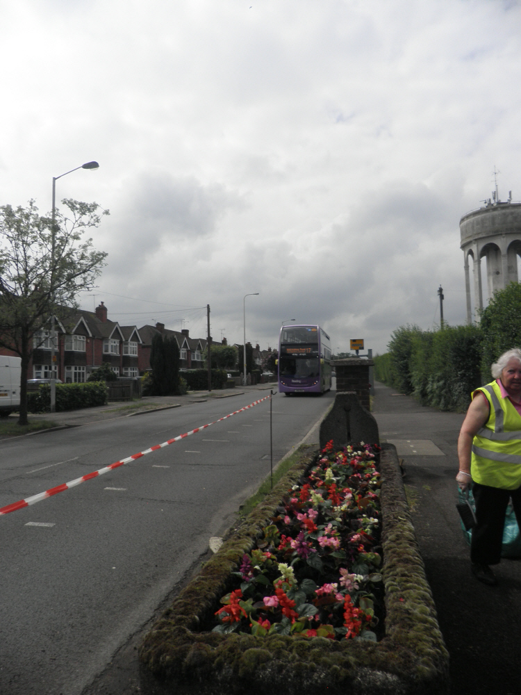Events, Tilehurst Globe, Tilehurst, Triangle, Planting, Water Trough ...
