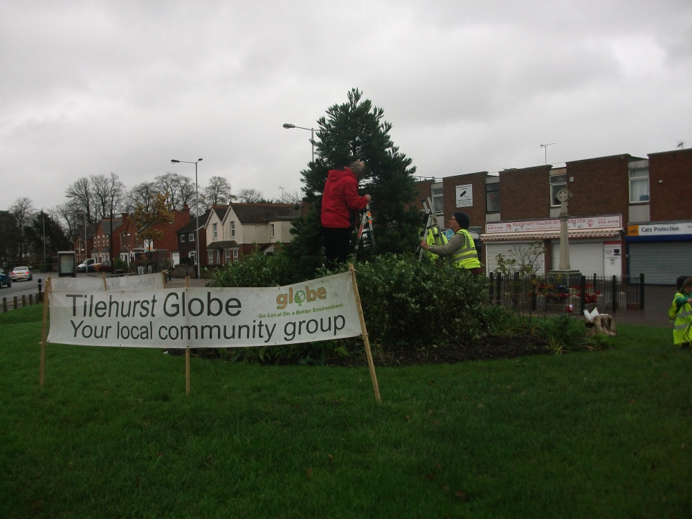 Events, Tilehurst Globe, Tilehurst, Triangle, Planting, Water Trough ...