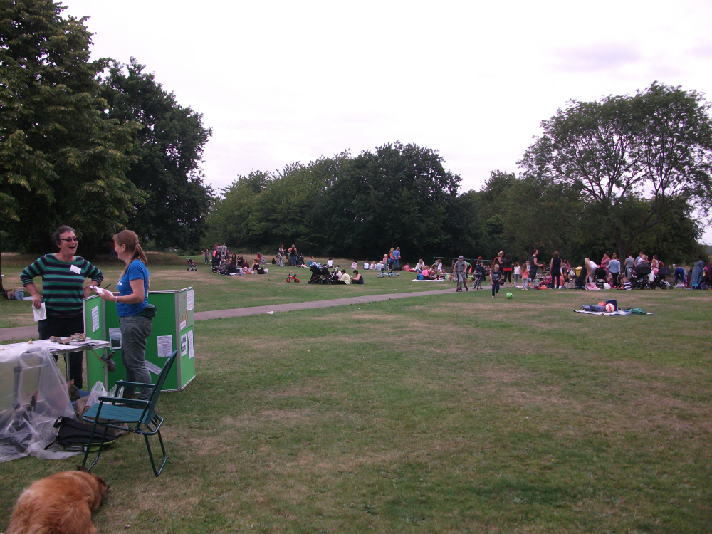 Events, Tilehurst Globe, Tilehurst, Triangle, Planting, Water Trough ...