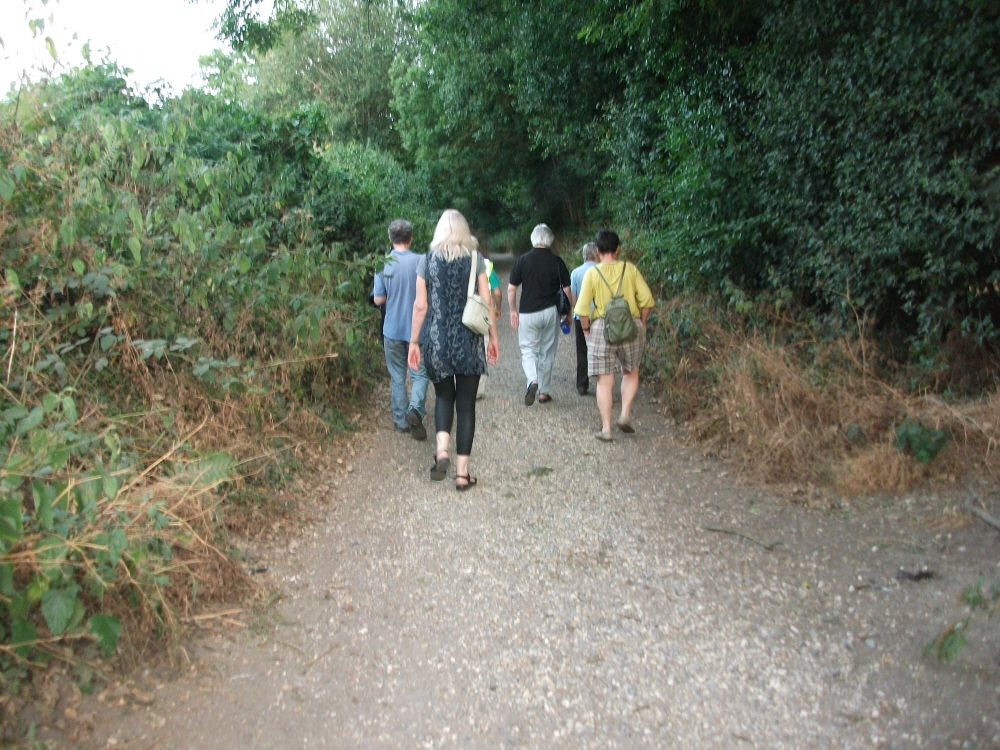 Events, Tilehurst Globe, Tilehurst, Triangle, Planting, Water Trough ...