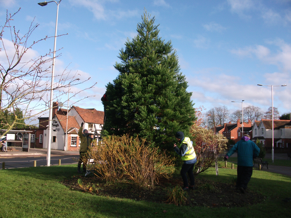 Events, Tilehurst Globe, Tilehurst, Triangle, Planting, Water Trough ...