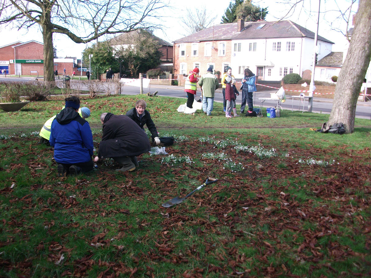 Events, Tilehurst Globe, Tilehurst, Triangle, Planting, Water Trough ...
