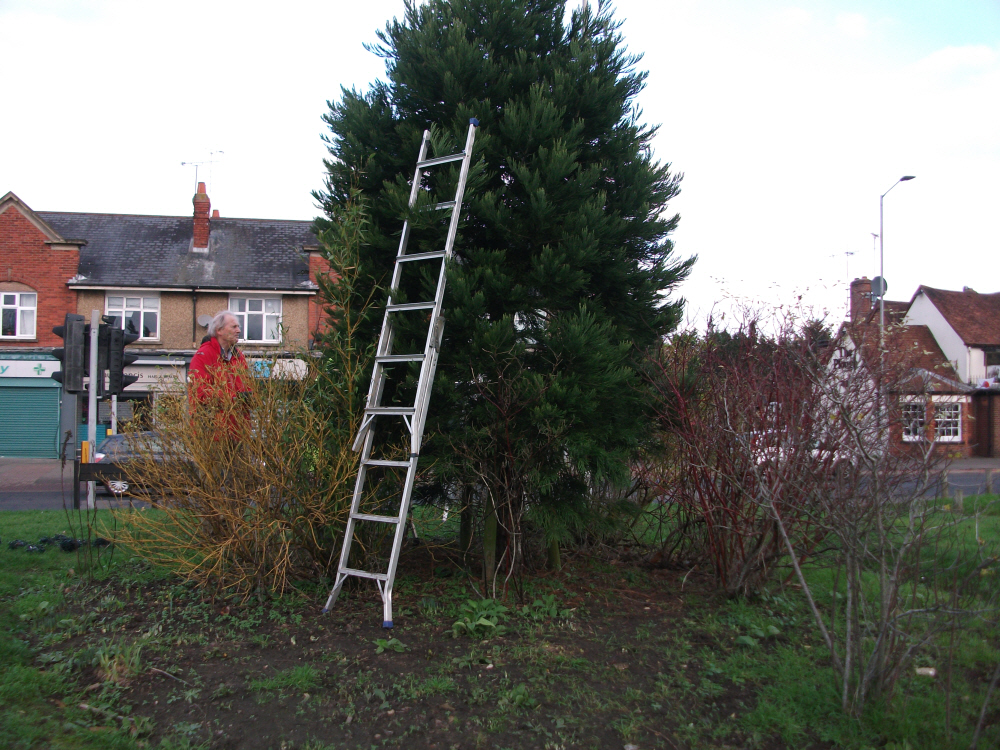 Events, Tilehurst Globe, Tilehurst, Triangle, Planting, Water Trough ...